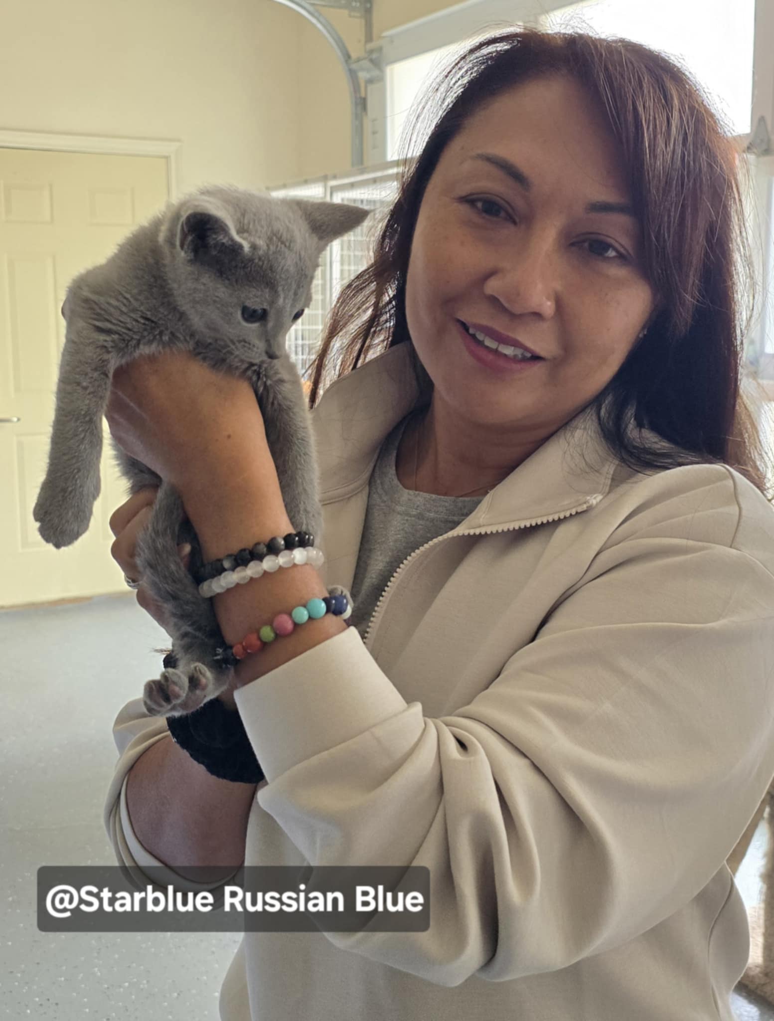 About Russian Blues – Myztic Kittyz